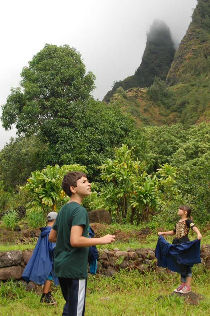 Jonathan Merage Foundation + Hawaii Nature Center - David & Laura ...